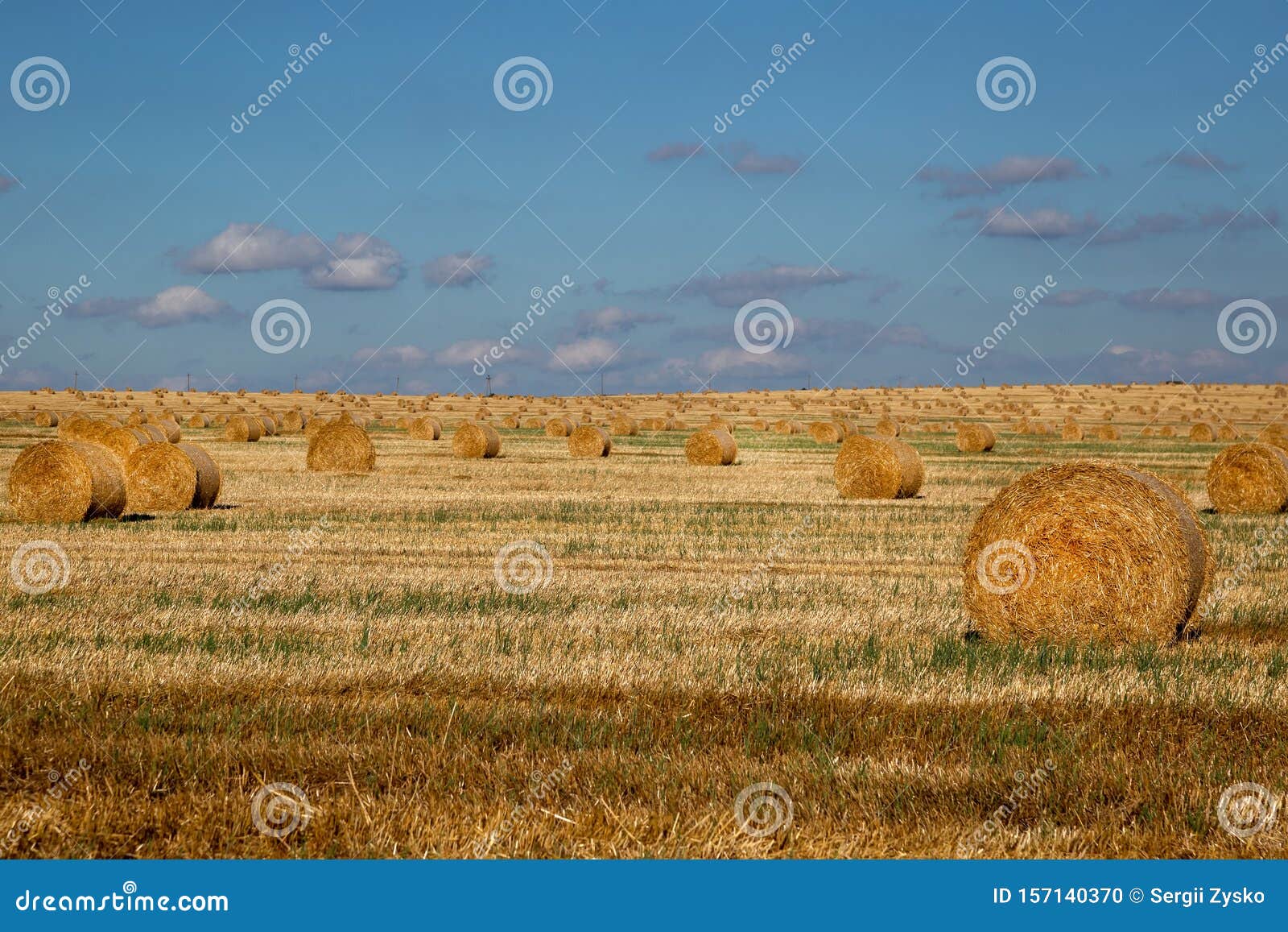 Wheat Field after Harvesting. Dry Hay on the Field Stock Photo - Image ...