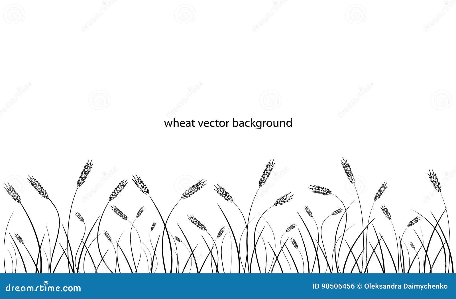Wheat Field Line Border Isolated on White. Stock Vector - Illustration ...