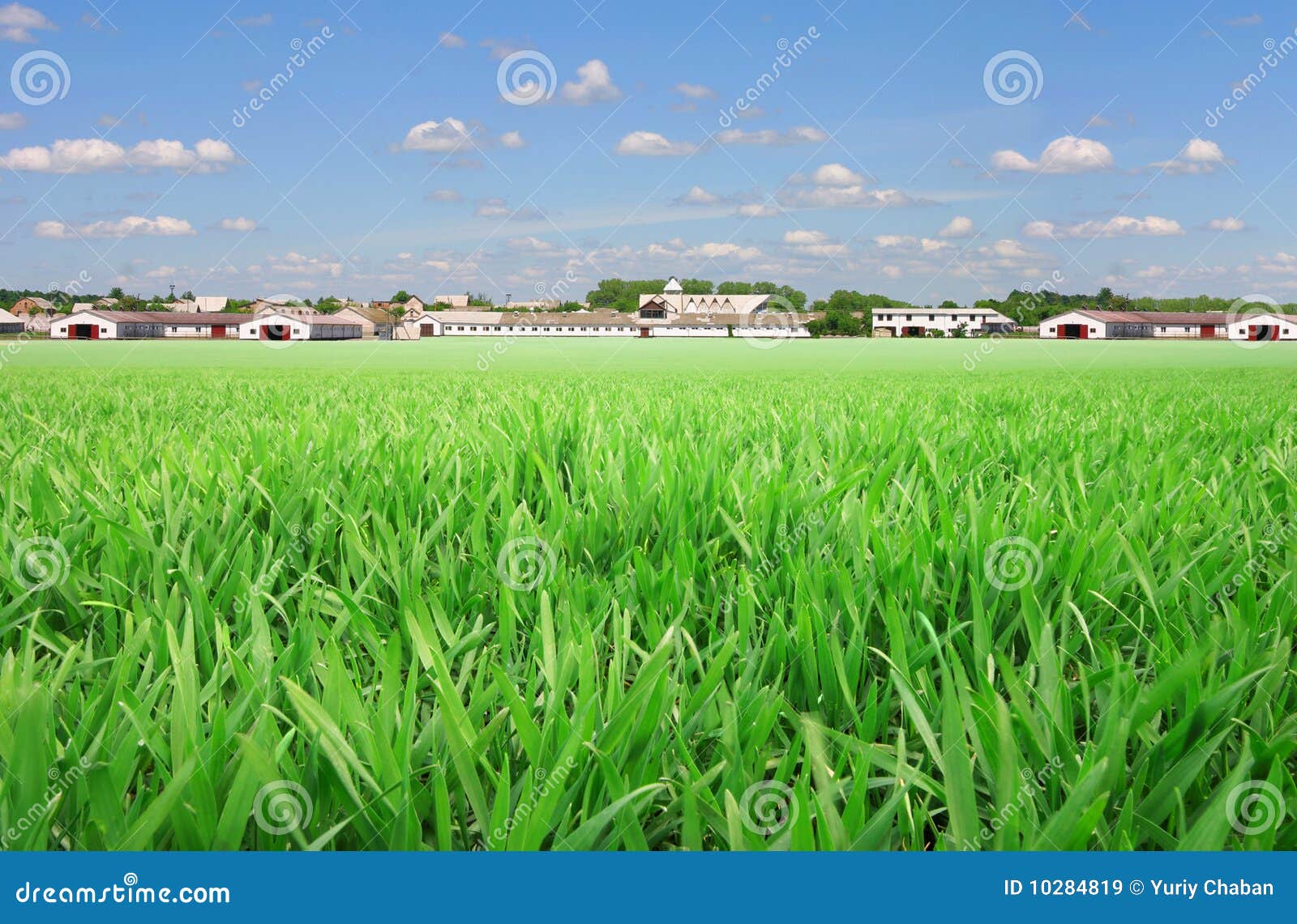 Wheat Field Near Modern Farm Stock Image - Image of cloudscape ...