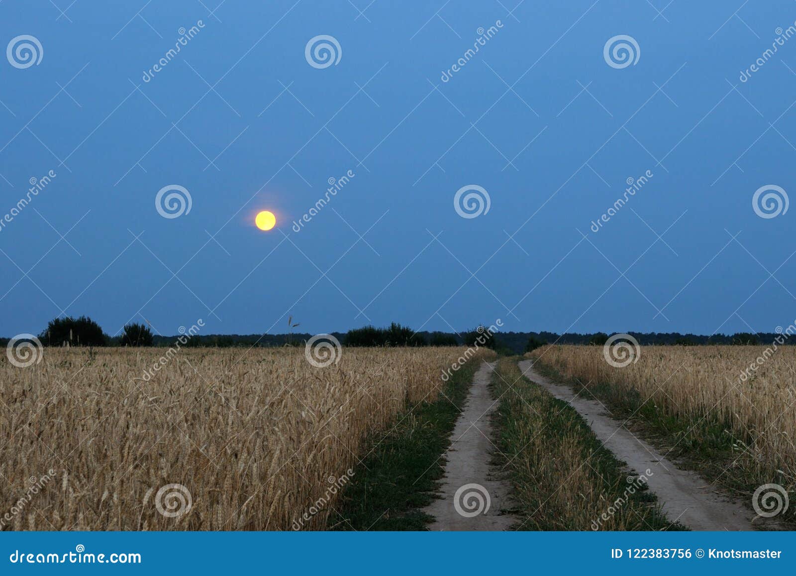 Wheat field at night stock photo. Image of agriculture - 122383756
