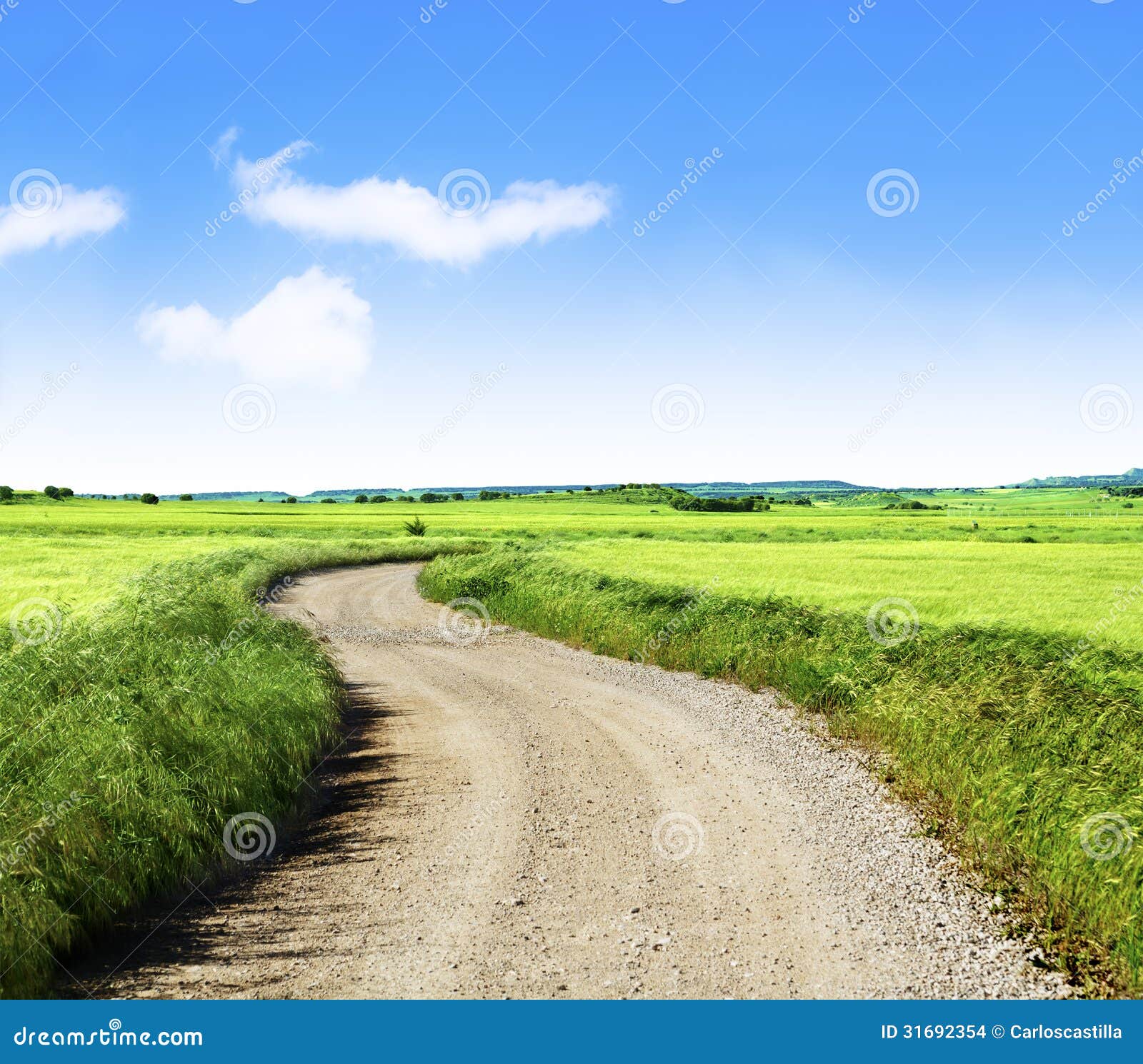 Wheat field and road stock photo. Image of idyllic, road - 31692354