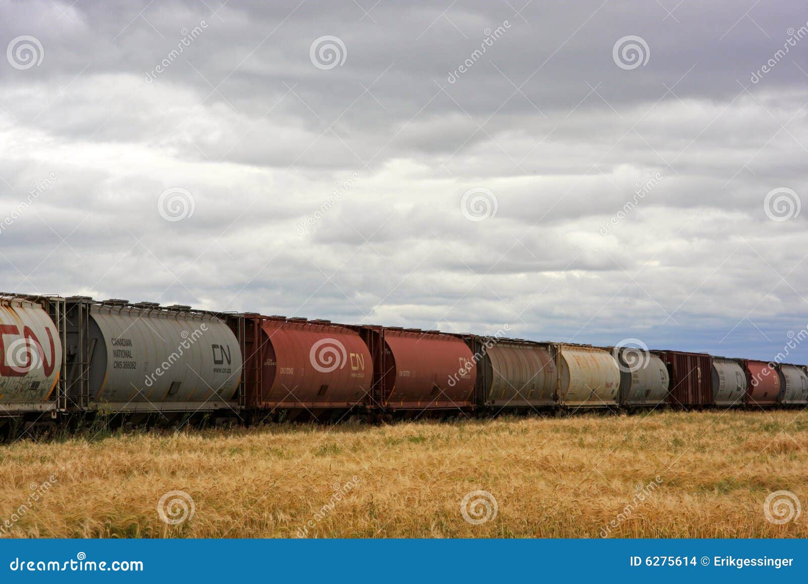 Wheat field and train stock photo. Image of agriculture - 6275614