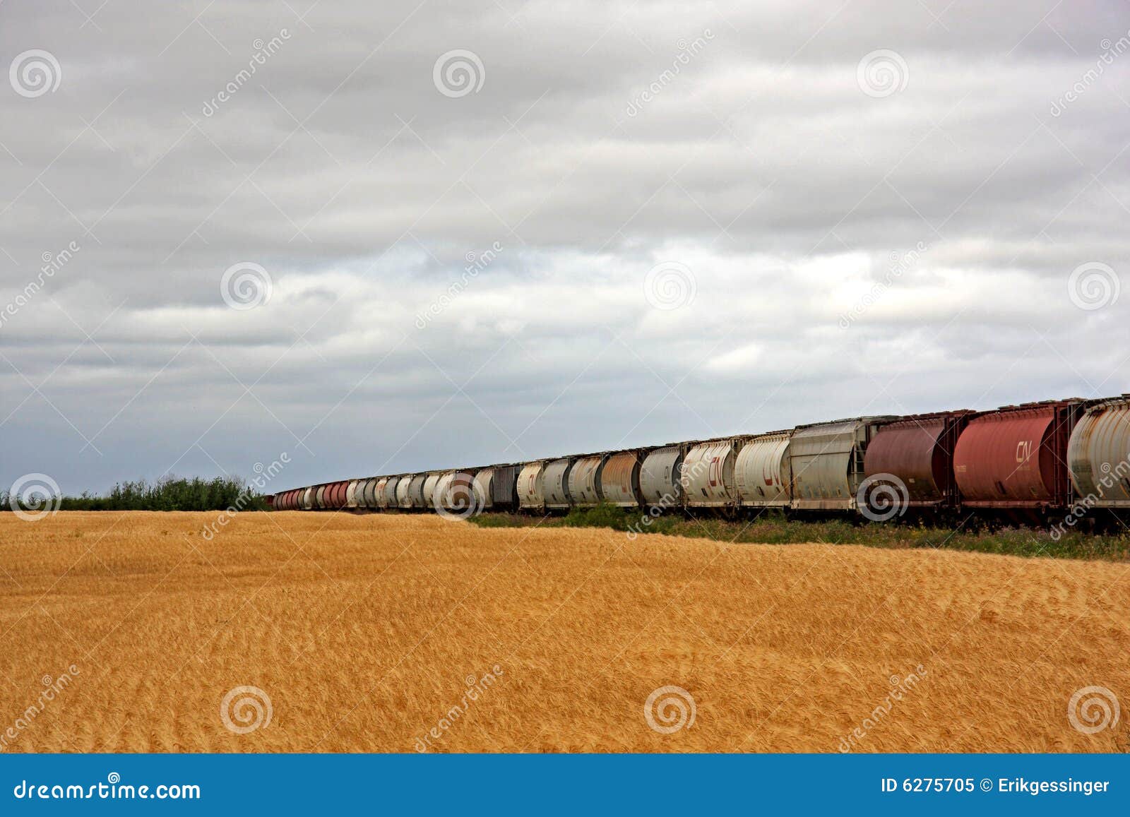 Wheat field and train stock image. Image of wheat, transportation - 6275705