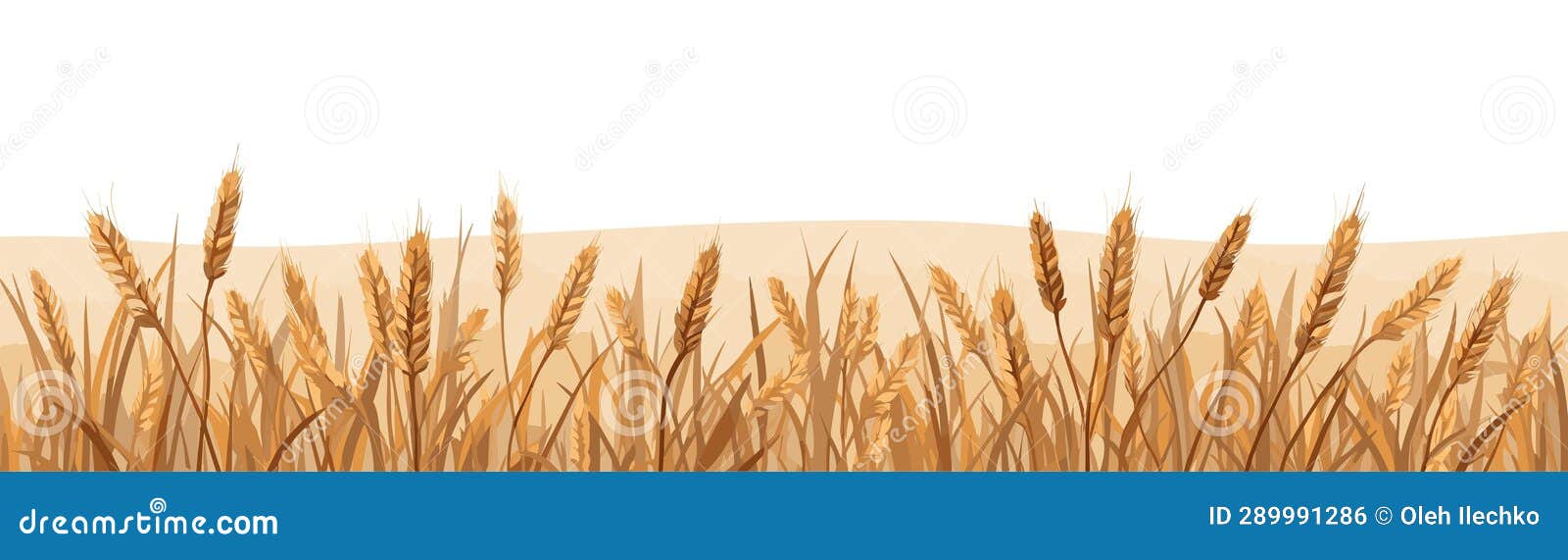 Wheat Field Vector Flat Minimalistic Isolated Illustration Stock Vector ...