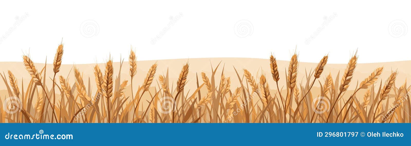 Wheat Field Vector Flat Minimalistic Isolated Illustration Stock Vector ...