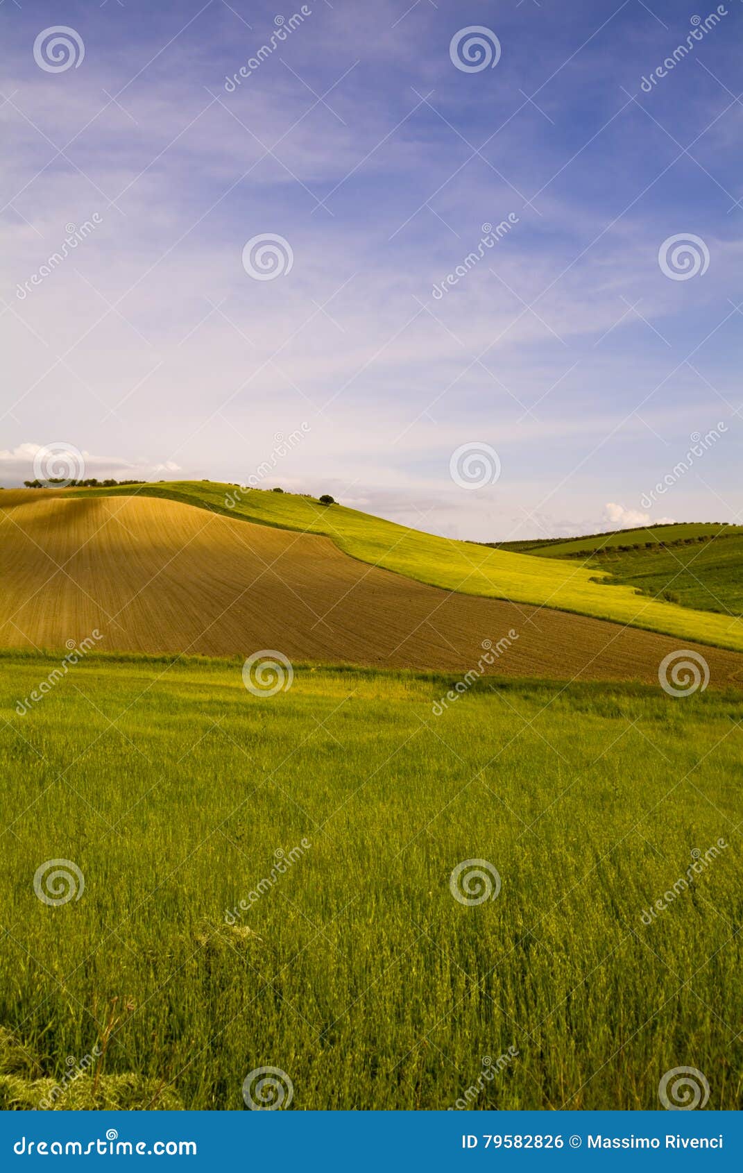 Wheat Fields, Apulia, Italy Stock Photo - Image of hills, apulia: 79582826