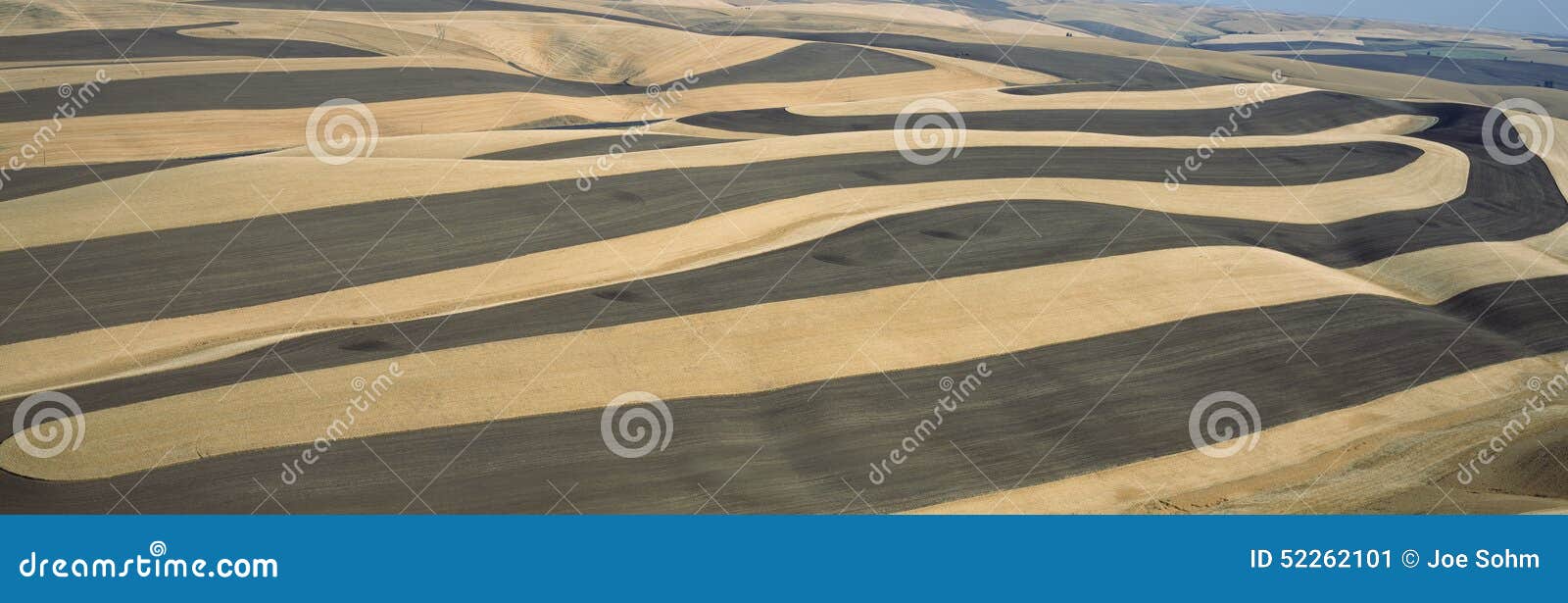 Wheat Fields and Contour Farming, S.E Stock Image - Image of grass ...