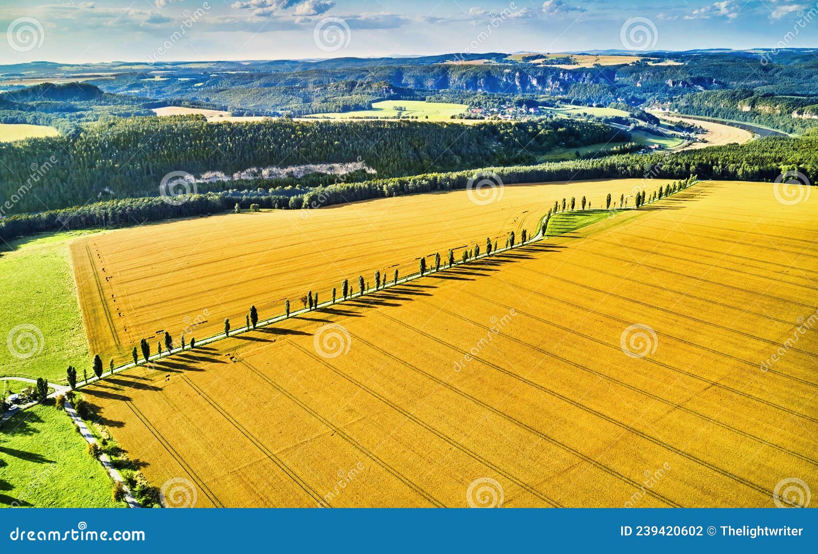 Wheat Fields in Germany, Aerial Photography Stock Photo - Image of ...