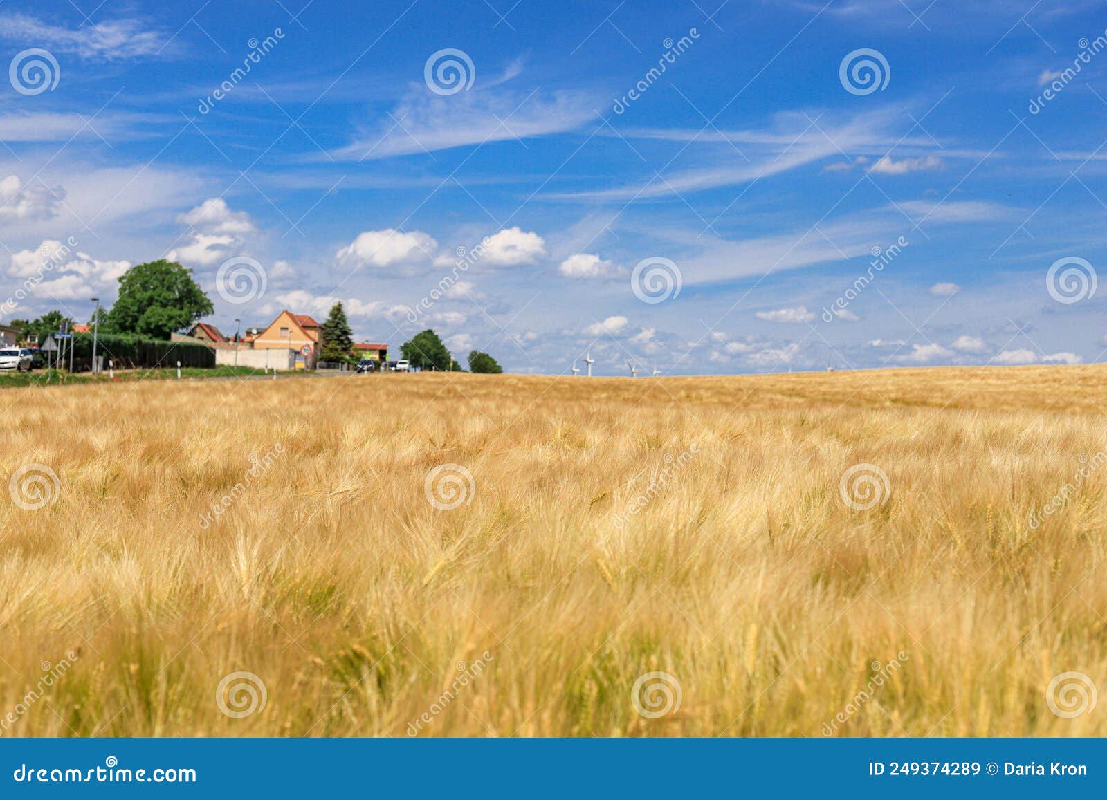 Wheat fields in Germany stock image. Image of germany - 249374289