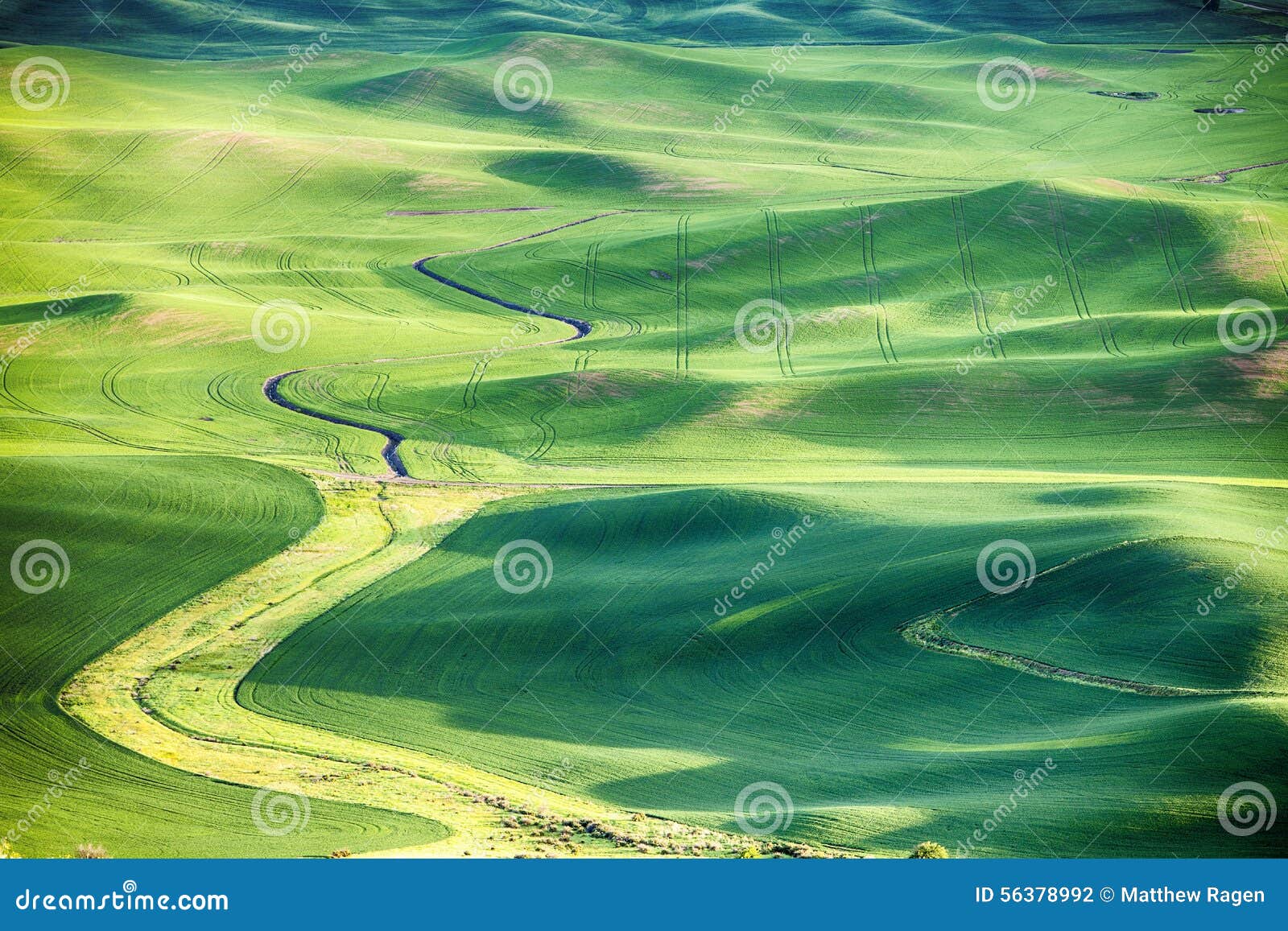 Wheat Fields in the Palouse Stock Photo - Image of stream, scenic: 56378992