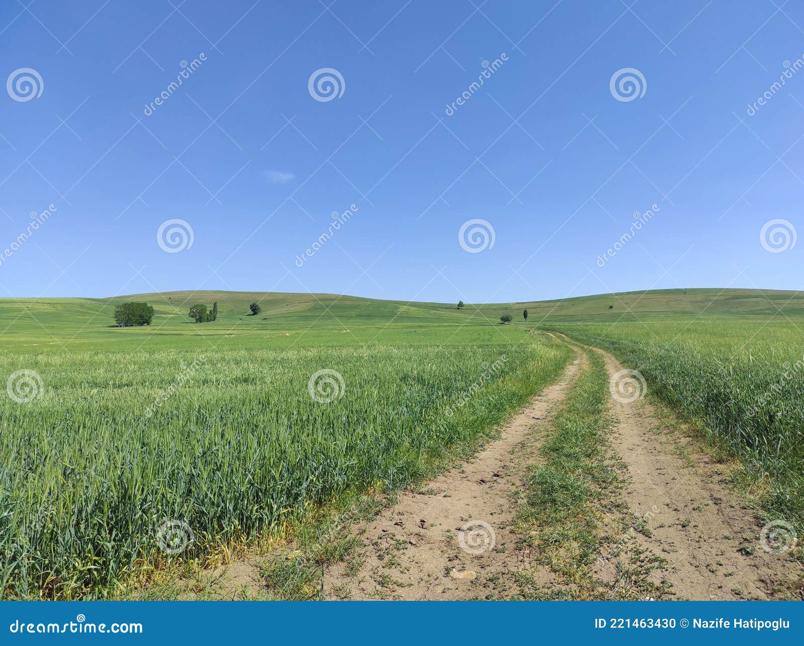 Wheat Fields and Path Road, Road and Fields, Road and Green Areas Stock ...