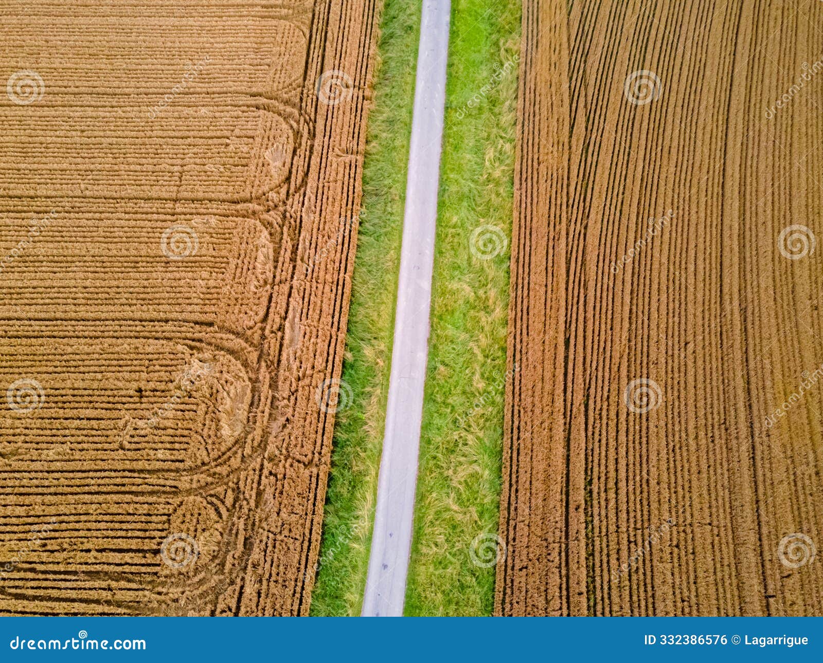 Strip Of Grass Stock Photography | CartoonDealer.com #10992986