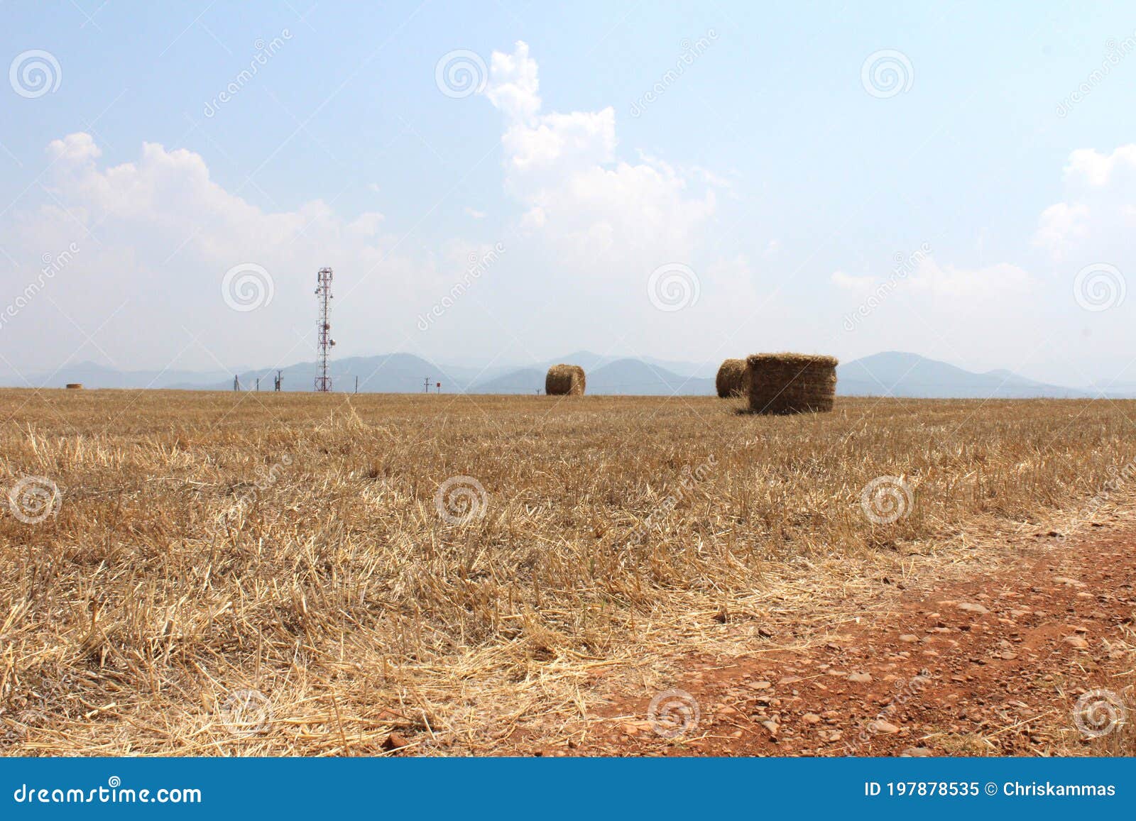 Farmer filed stock image. Image of farm, summer, nature - 197878535