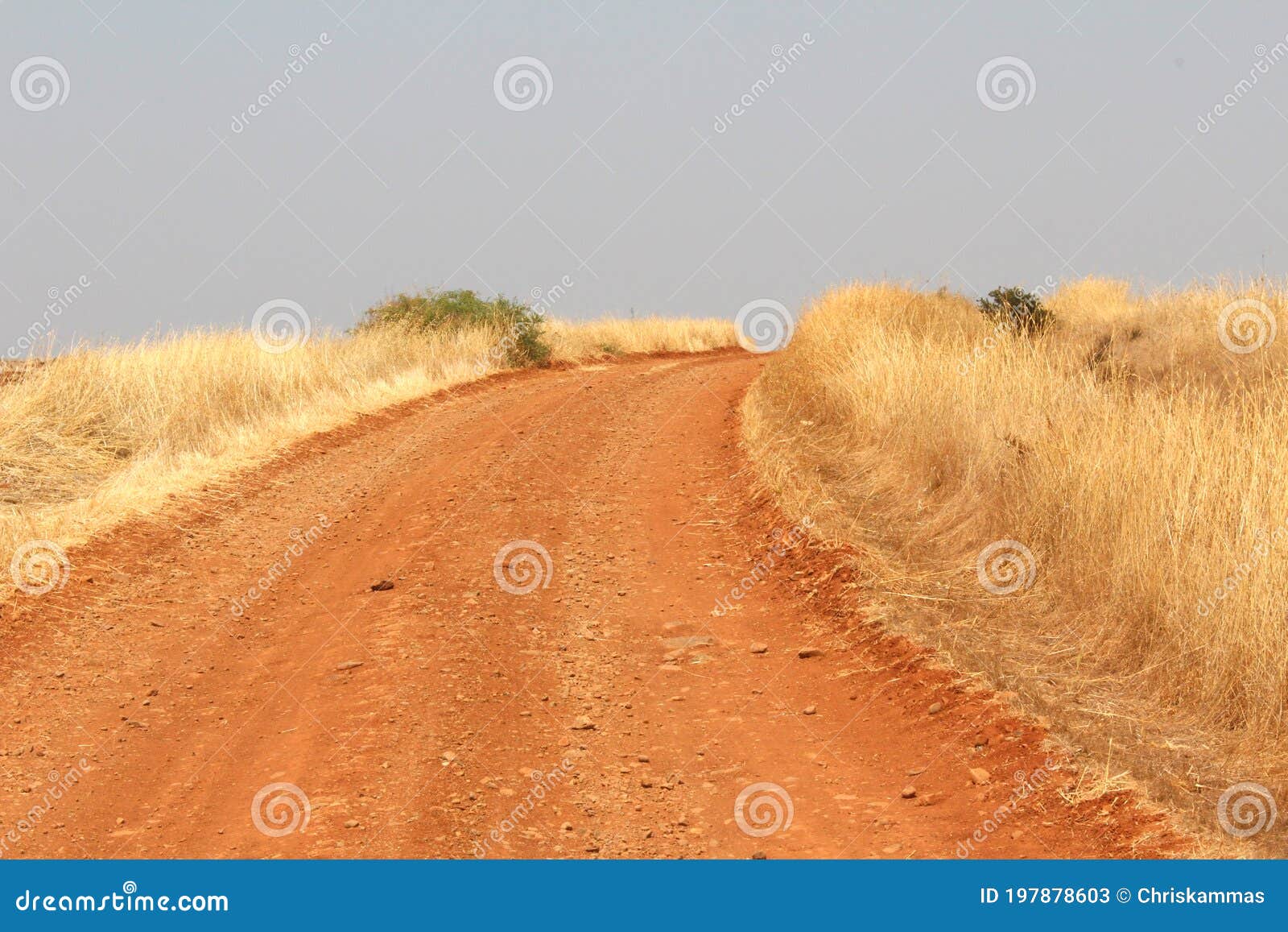 Farmer filed stock image. Image of filed, food, road - 197878603