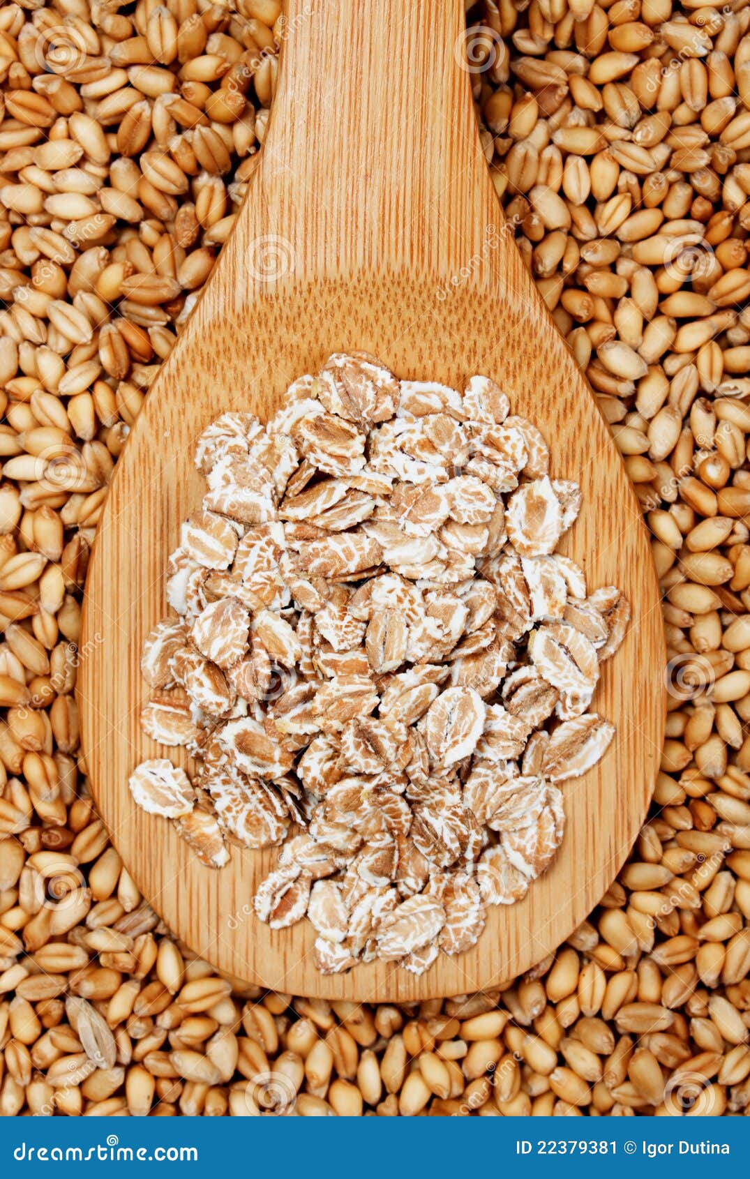Wheat flakes stock image. Image of spoon, macrobiotic - 22379381