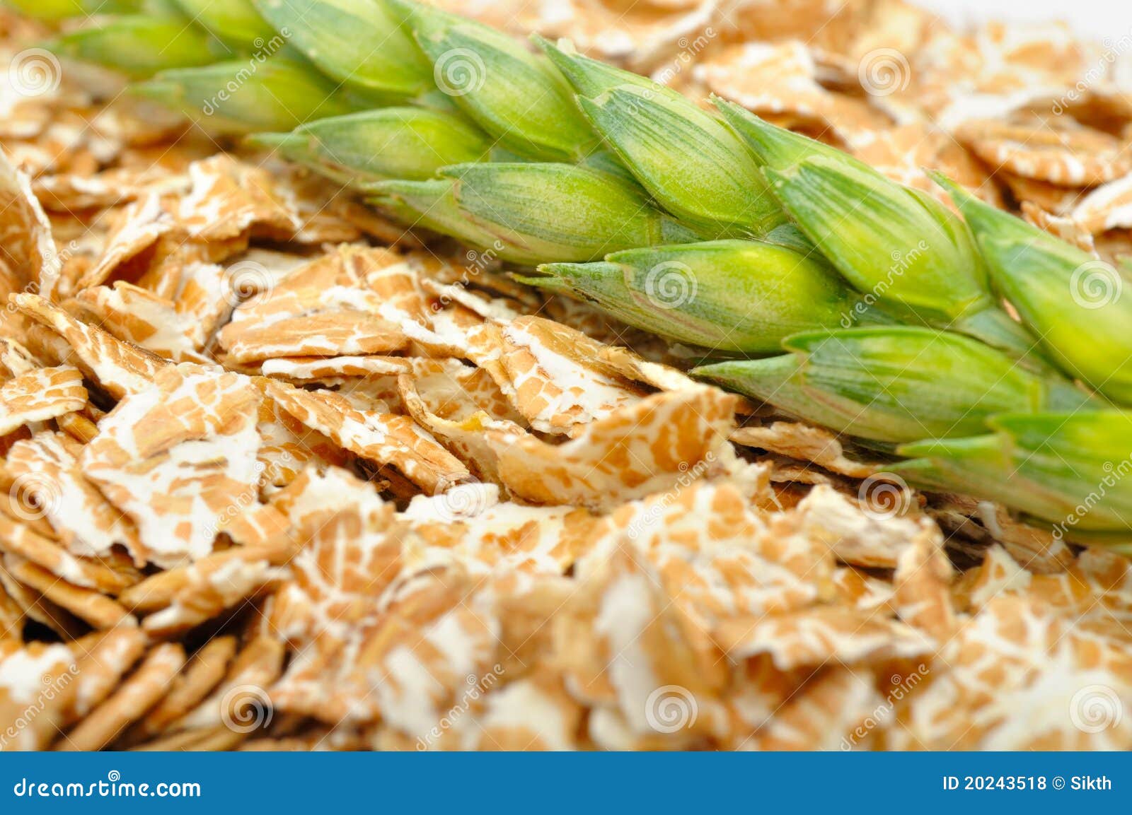 Wheat Flakes and Ear of Wheat Stock Photo - Image of food, dietetic ...