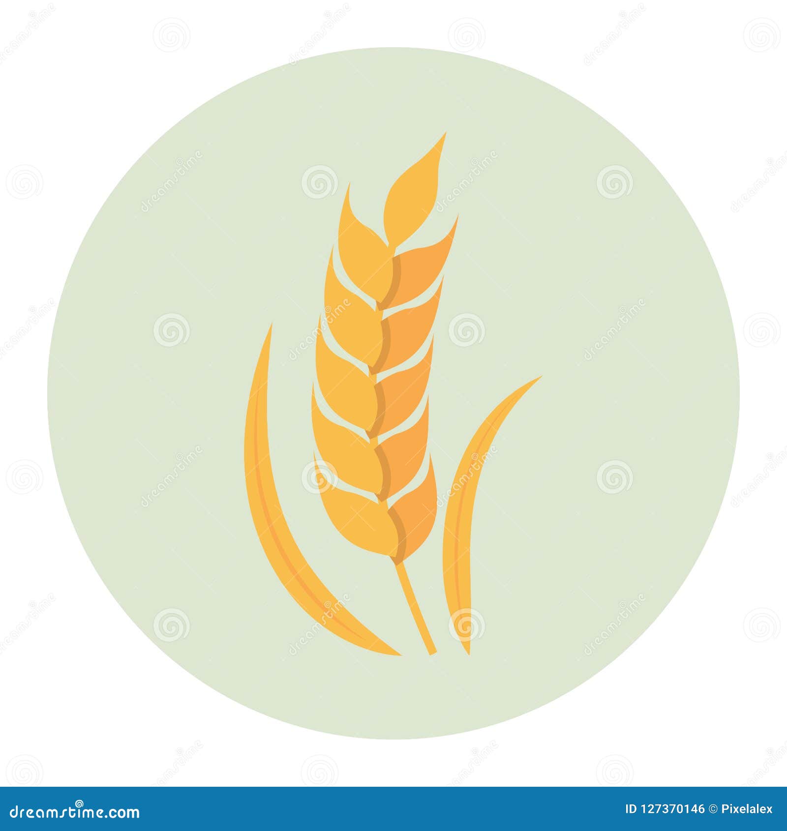 Wheat flat icon stock vector. Illustration of food, graphic - 127370146