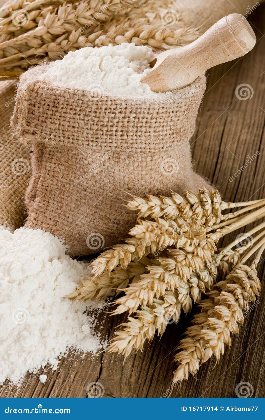 Wheat and flour stock photo. Image of natural, golden - 16717914