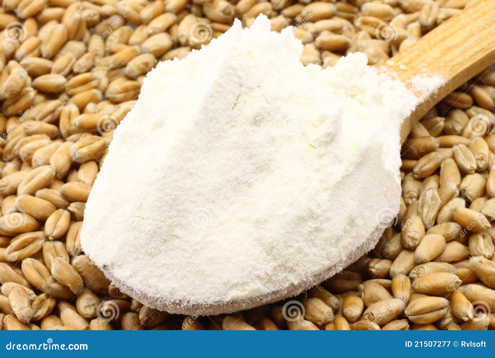 Wheat and flour stock image. Image of golden, color, flour - 21507277