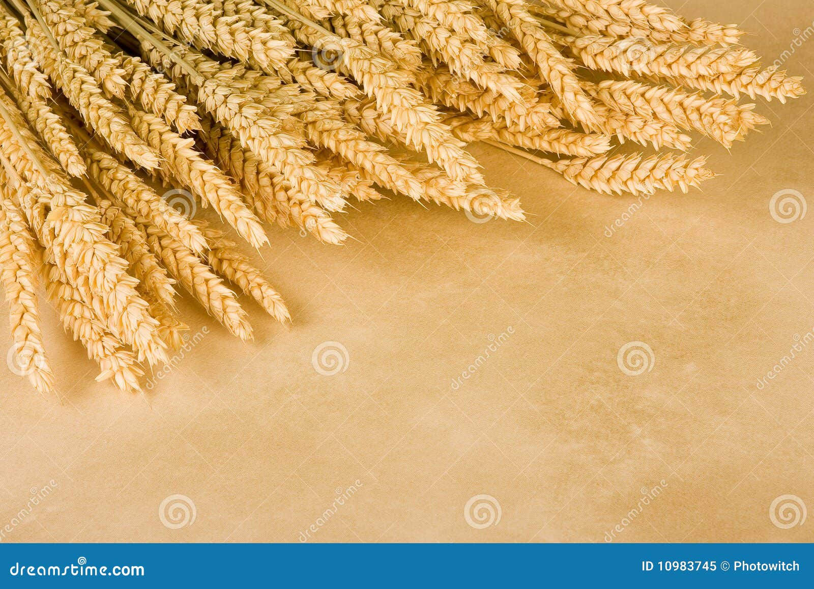 Wheat frame stock image. Image of decoration, fall, food - 10983745