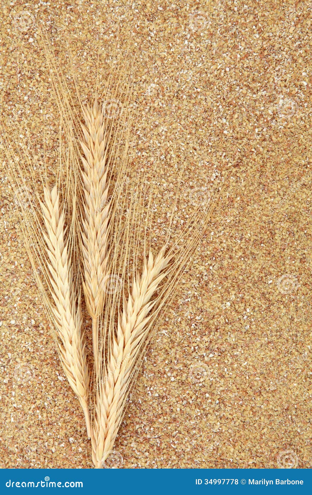 Wheat Germ stock photo. Image of germ, background, organic - 34997778