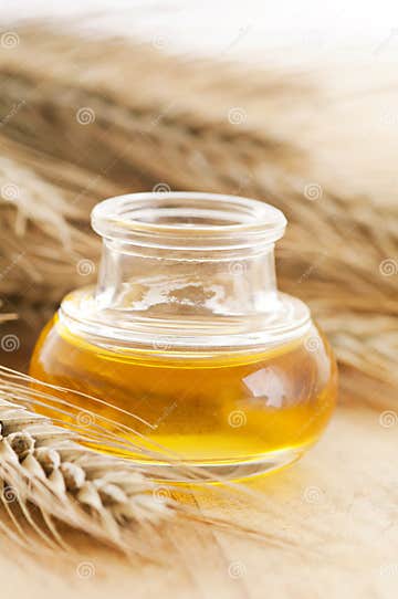 Wheat germ oil stock photo. Image of extract, cold, body - 26961250