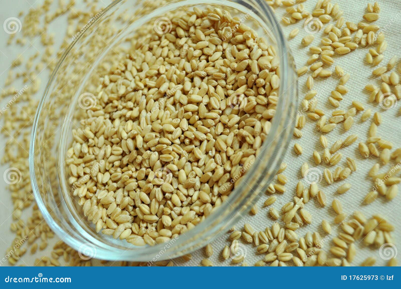 Wheat grain stock image. Image of autumn, barley, grain - 17625973