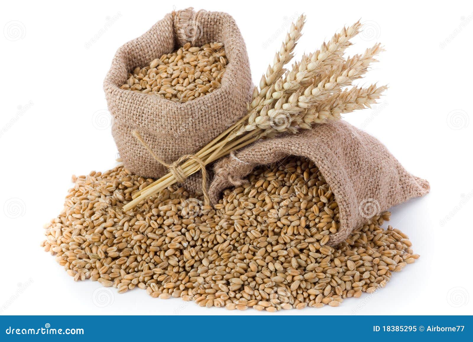 Wheat grain stock image. Image of ripe, industry, nature - 18385295