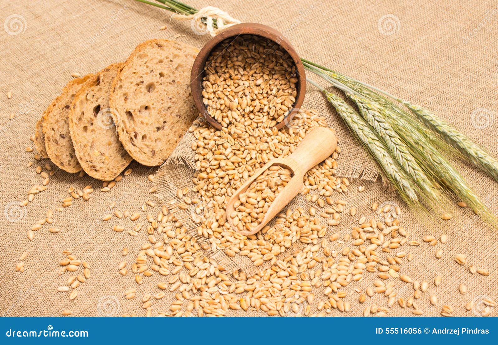 Wheat Grain on Canvas Close Up Stock Photo - Image of seeds, natural ...