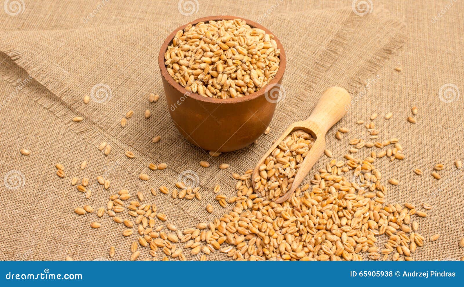 Wheat Grain on Canvas Close Up Stock Photo - Image of vegetable, gluten ...