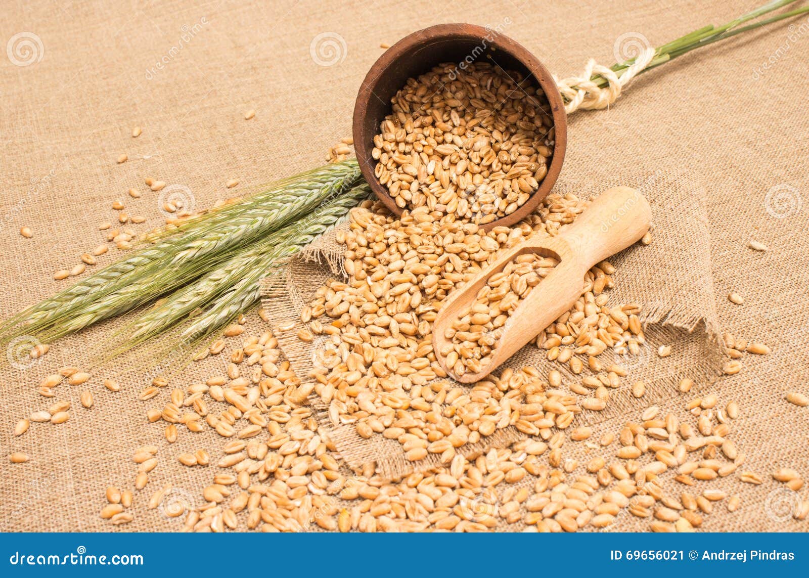 Wheat Grain on Canvas Close Up Stock Image - Image of close, healthy ...