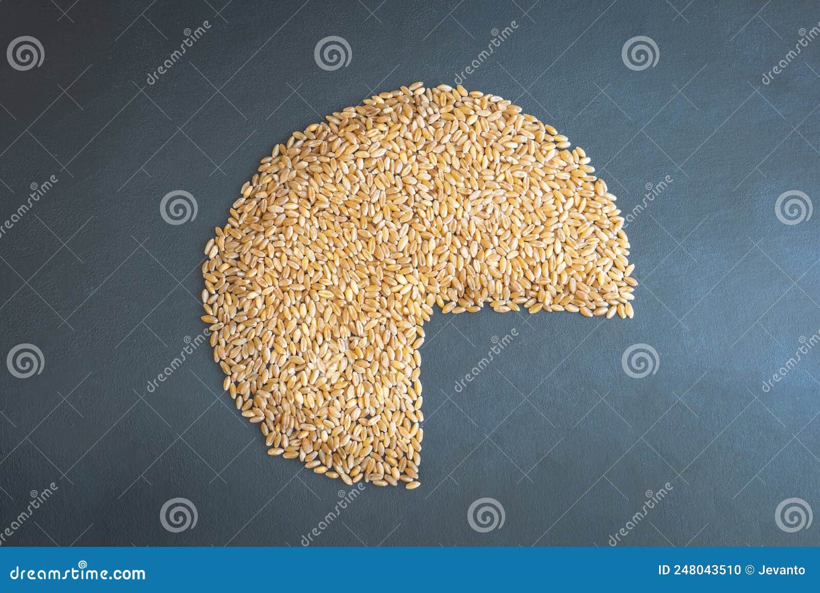 Wheat Grain Chart Pie Shape Concept Flat Overhead View Stock Photo ...