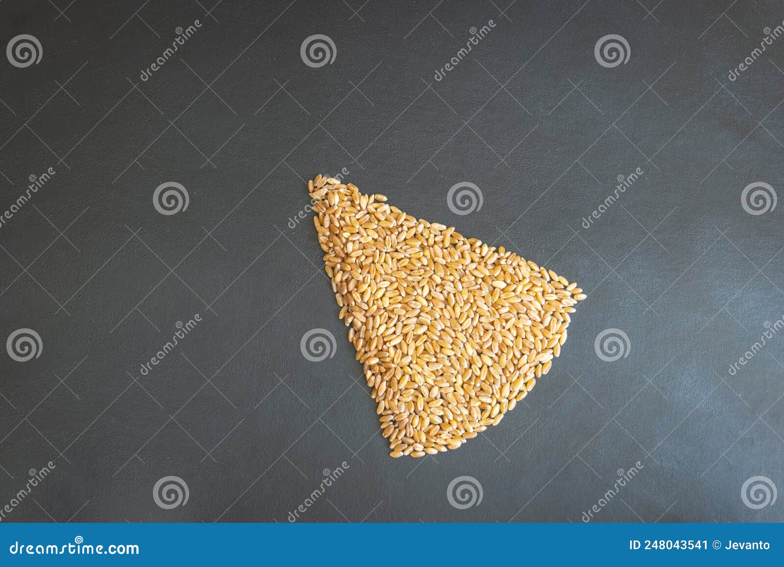 Wheat Grain Chart Pie Share Shape Concept Flat Overhead View Stock ...