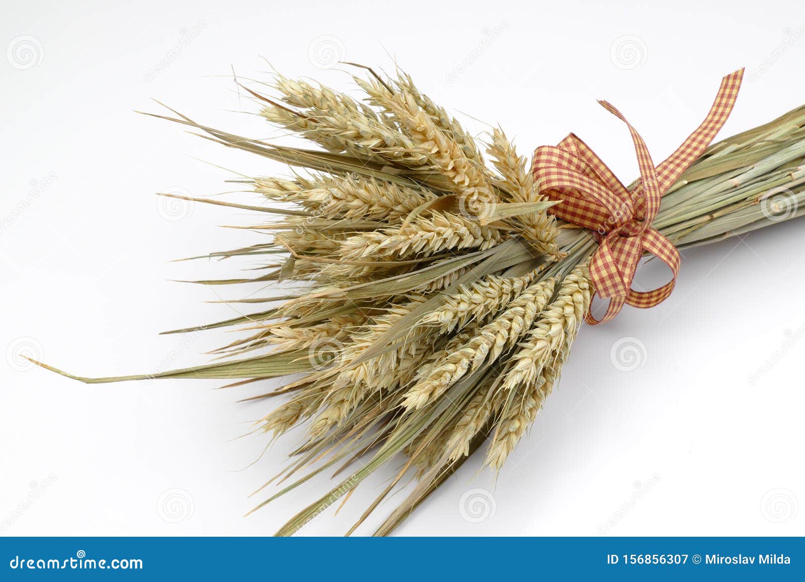Grain Decoration Isolated on White Stock Image - Image of decoration ...