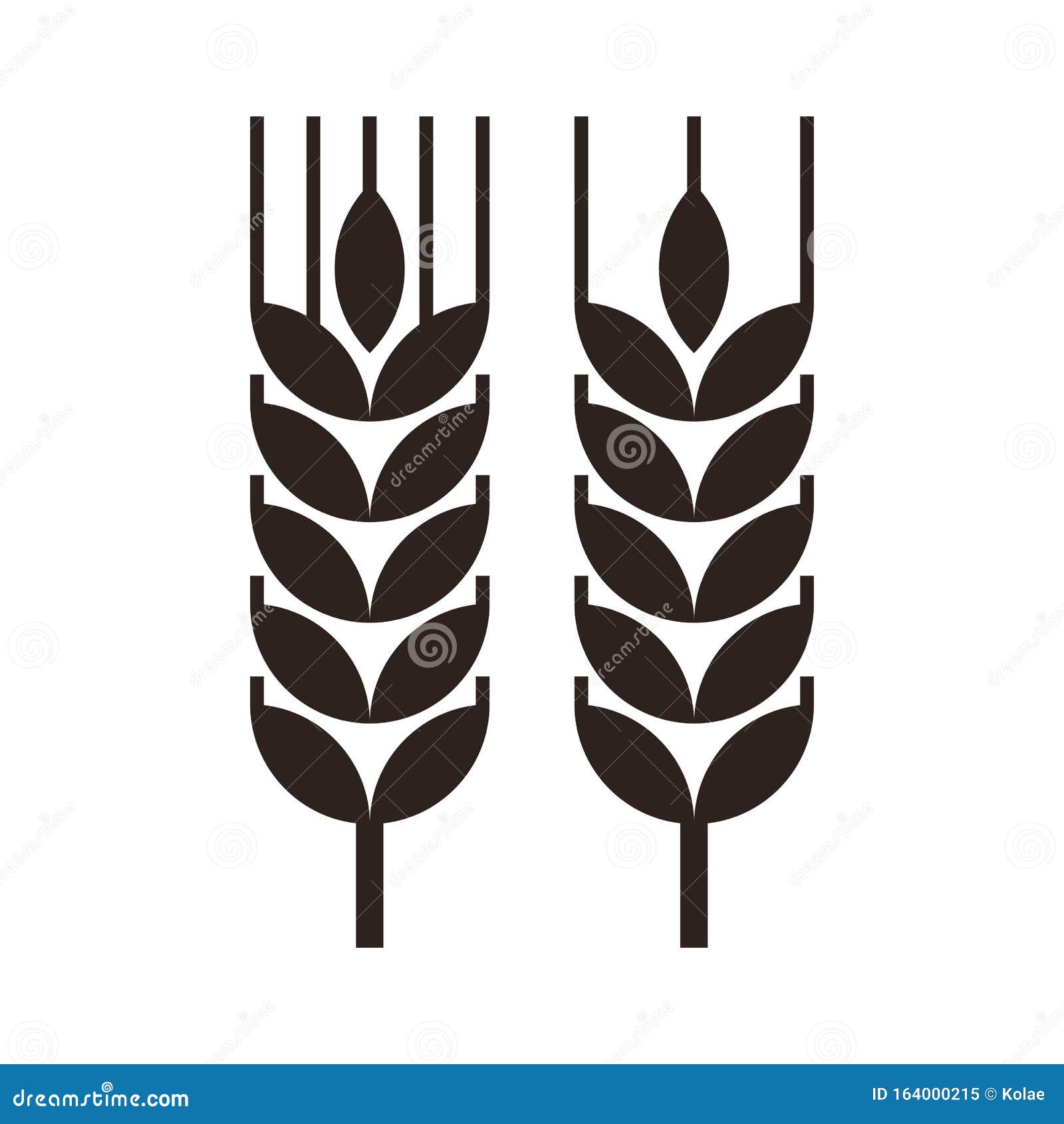 Wheat grain icon stock vector. Illustration of barley - 164000215