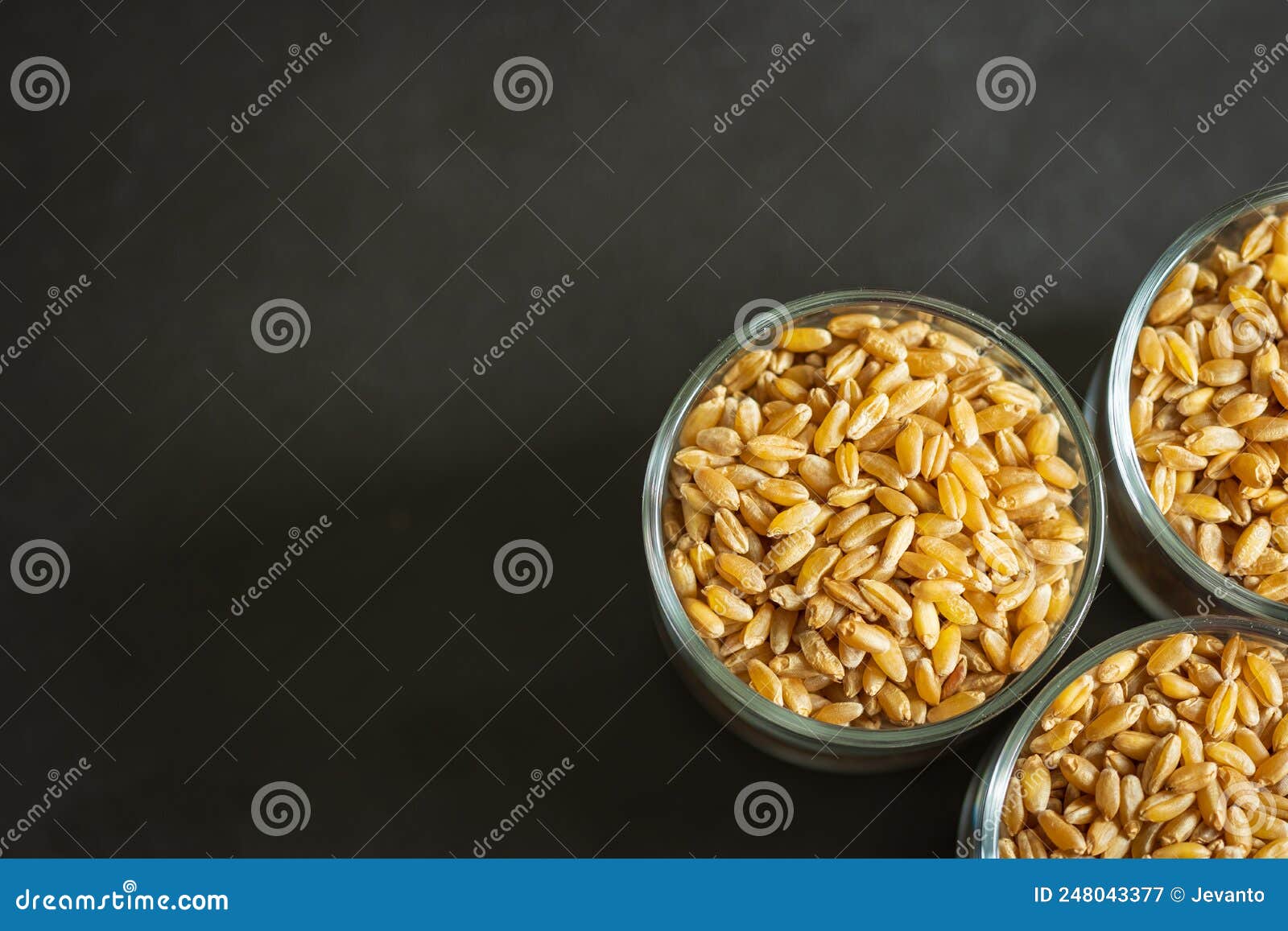 Wheat Grain Inside Glass Jar Storage Container Overhead View Stock ...