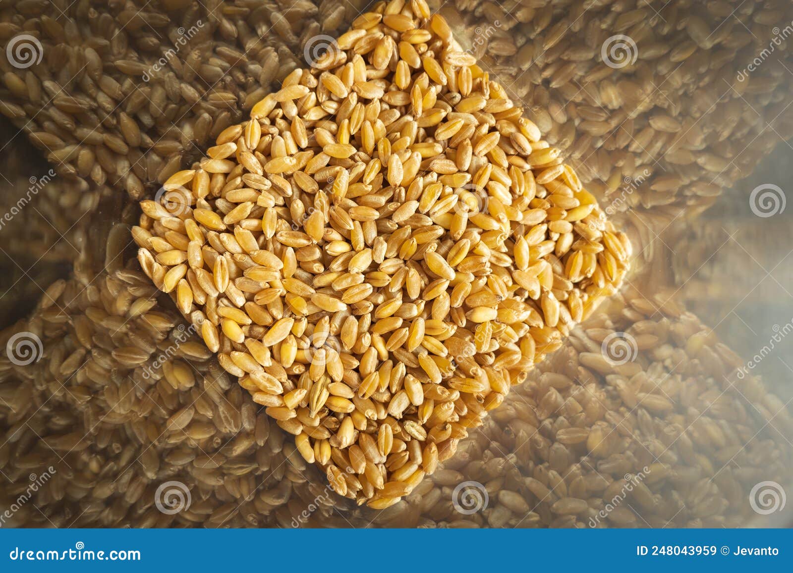 Wheat Grain Inside Square Storage Container Closeup Stock Image - Image ...