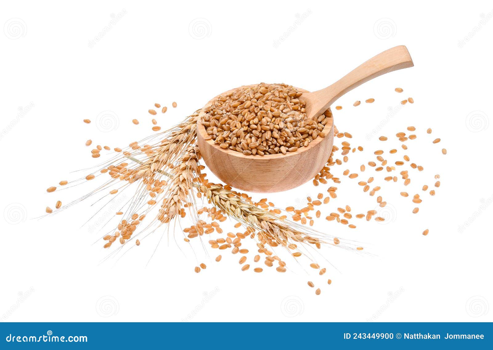 Wheat Grain Isolated on White Background Stock Photo - Image of wheat ...