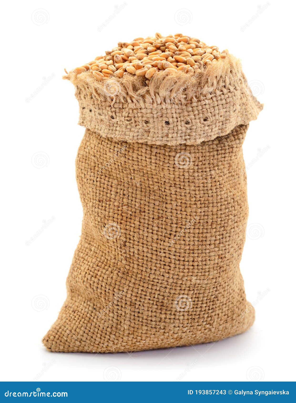 Wheat grain in sack stock image. Image of seed, protein - 193857243