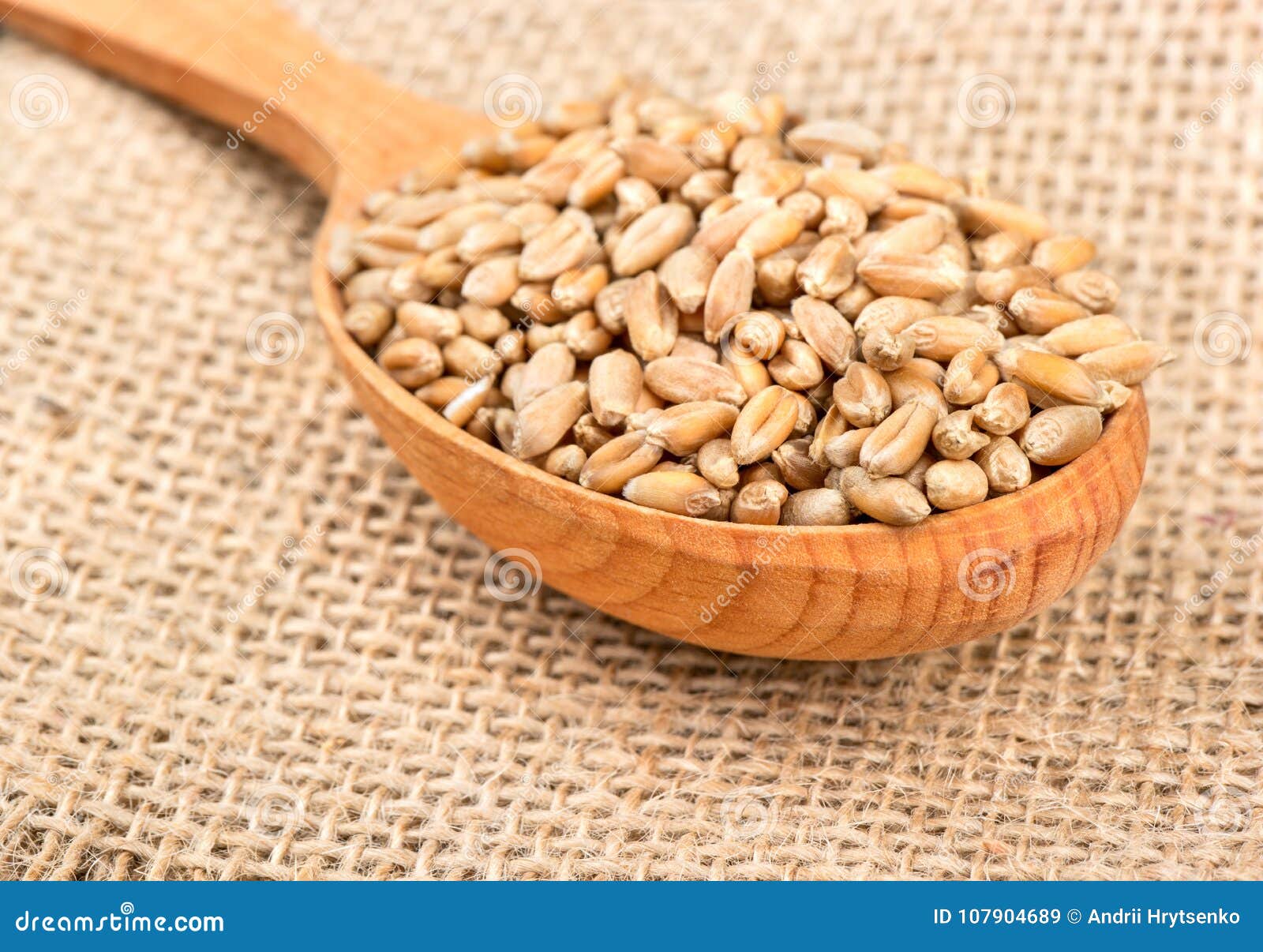 Wheat grain in spoon stock image. Image of cooking, pearled - 107904689