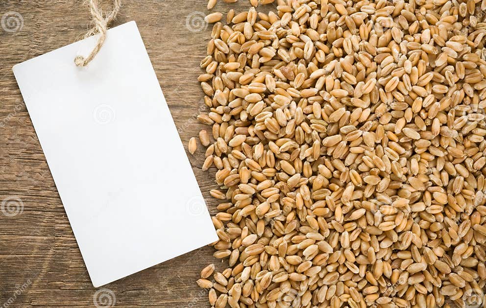 Wheat grain and tag price stock image. Image of farming - 22353225