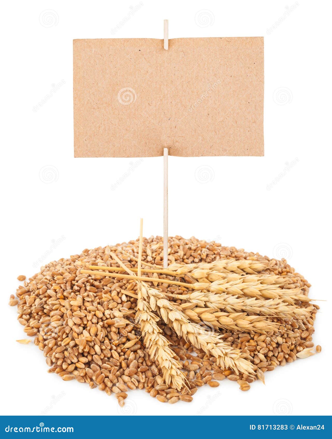 Wheat grain with tag stock image. Image of bulk, farm - 81713283