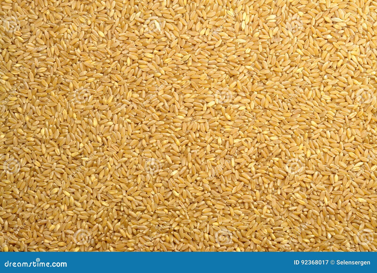 58,548 Wheat Grain Texture Stock Photos - Free & Royalty-Free Stock ...