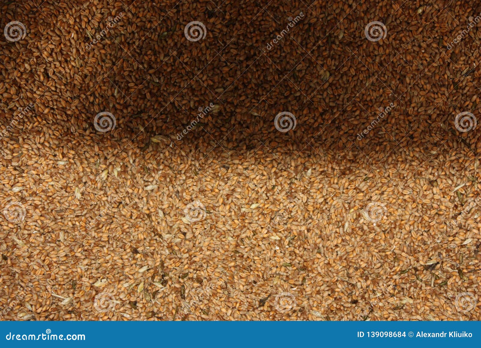 Wheat Grain Texture, Top View Stock Photo - Image of grain, macro ...