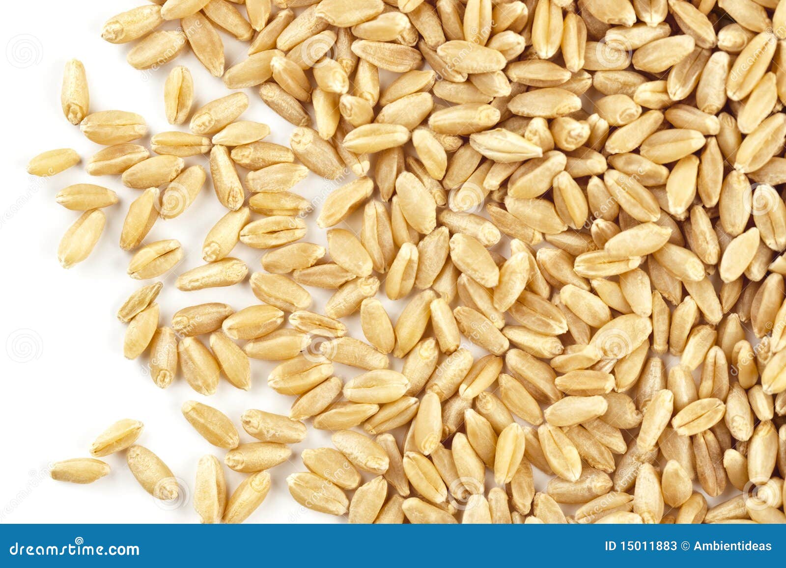 Wheat Grain on White Background Stock Image - Image of wheat, studio ...