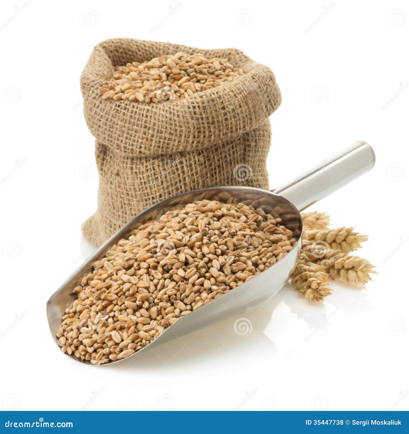 Wheat grain on white stock photo. Image of agriculture - 35447738
