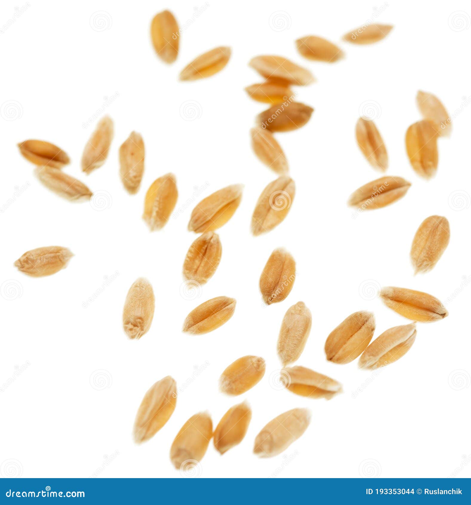 Wheat grain on white stock photo. Image of healthy, agriculture - 193353044