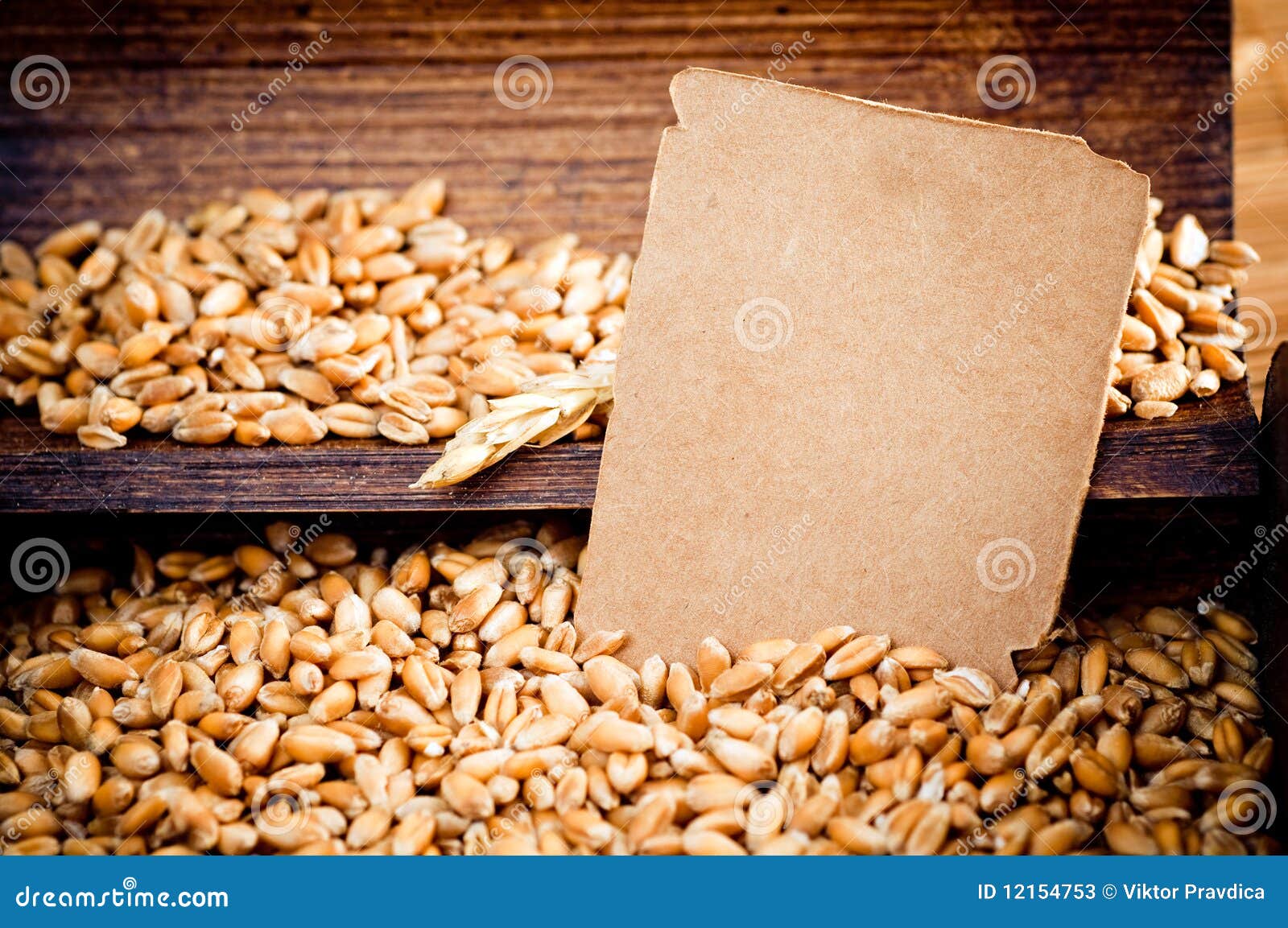 Wheat grains stock image. Image of healthy, grain, blank - 12154753