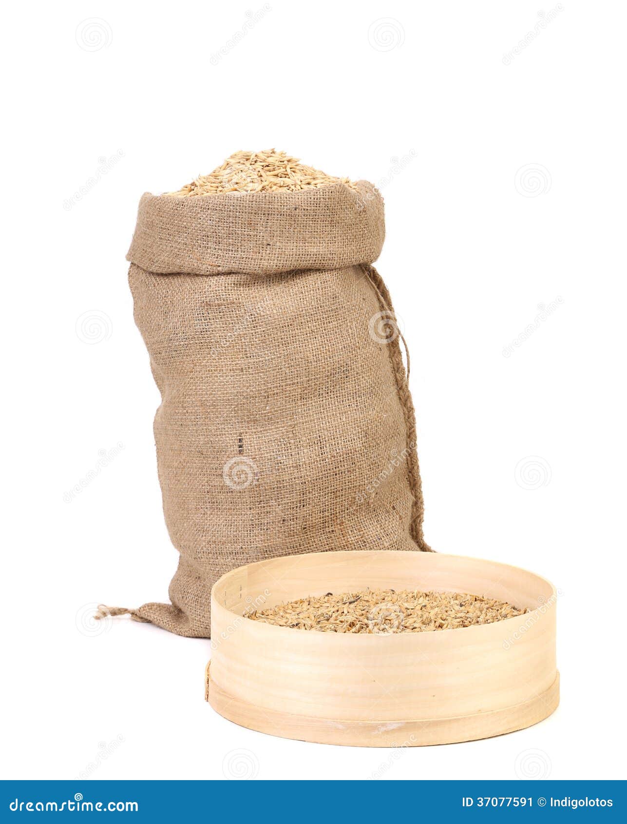 Wheat grains in the bag. stock image. Image of full, pack - 37077591