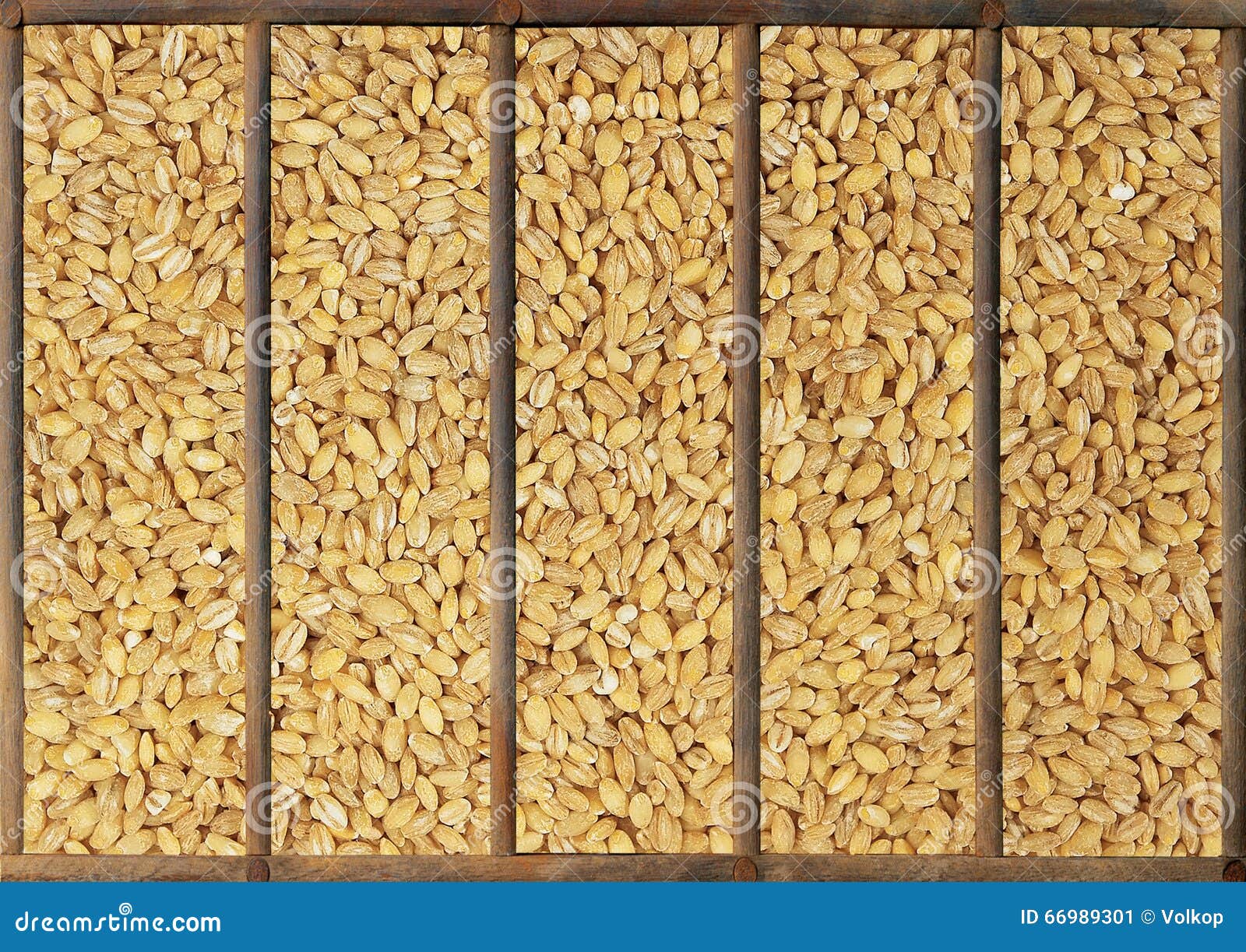 Wheat grains in box stock image. Image of farm, healthy - 66989301